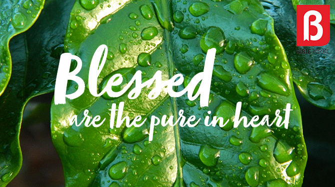 What Does It Mean to Be Pure in Heart? - Bible Portal