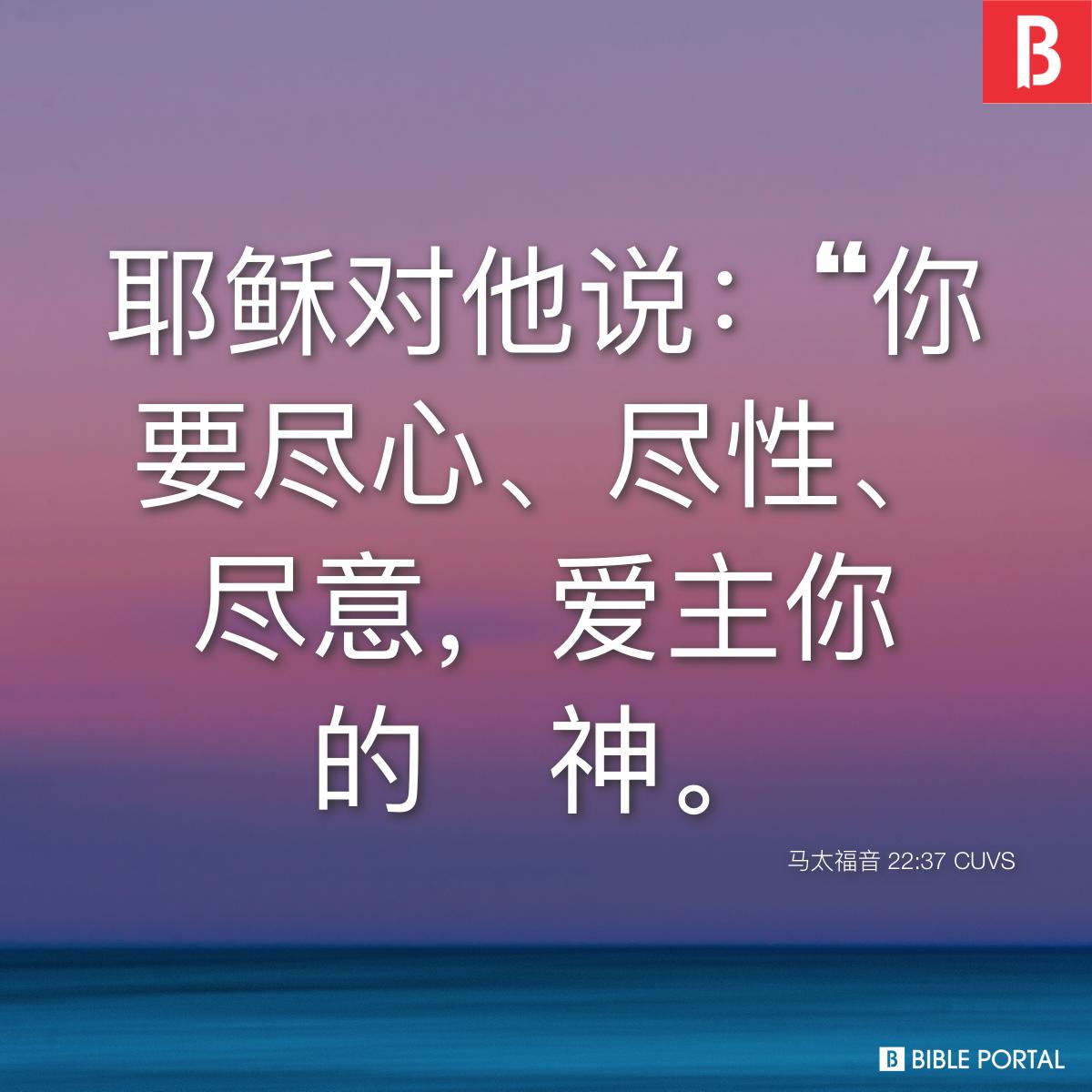 马太福音 22:37 CUVS - Bible Scripture Image - Bible Portal